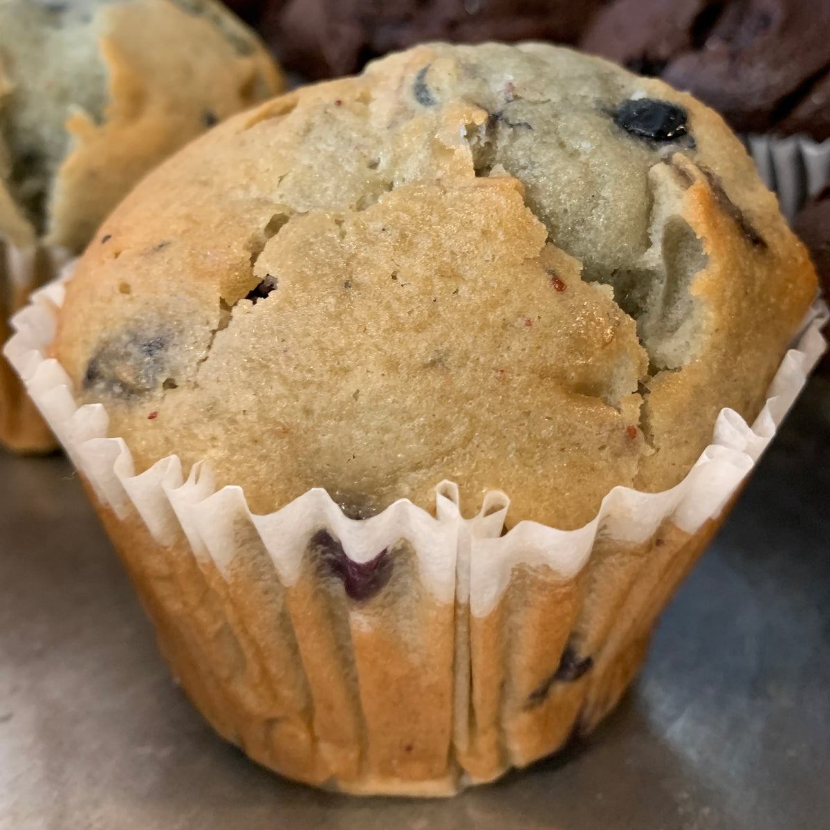 Blueberry Muffin - Order Online - Local Bakery Houston – Rustika Cafe ...